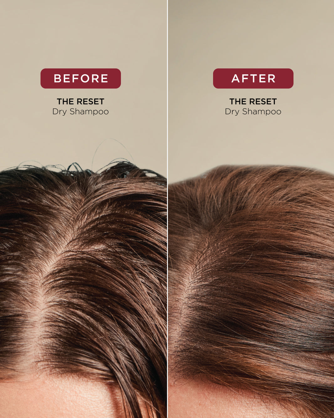 ARKIVE© Headcare | Everyday Hair & Scalp Care Products